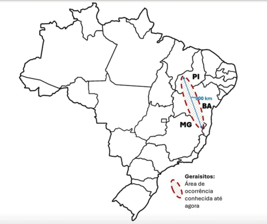 Descoberta inédita de tectitos no Brasil remonta a 6,3 milhões de anos